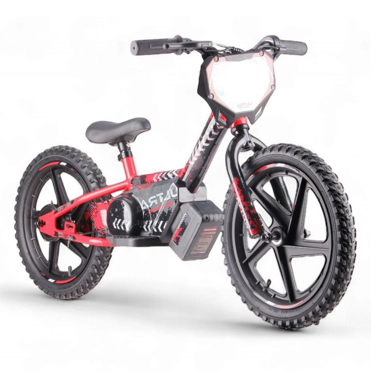 Laufrad Mit Motor
